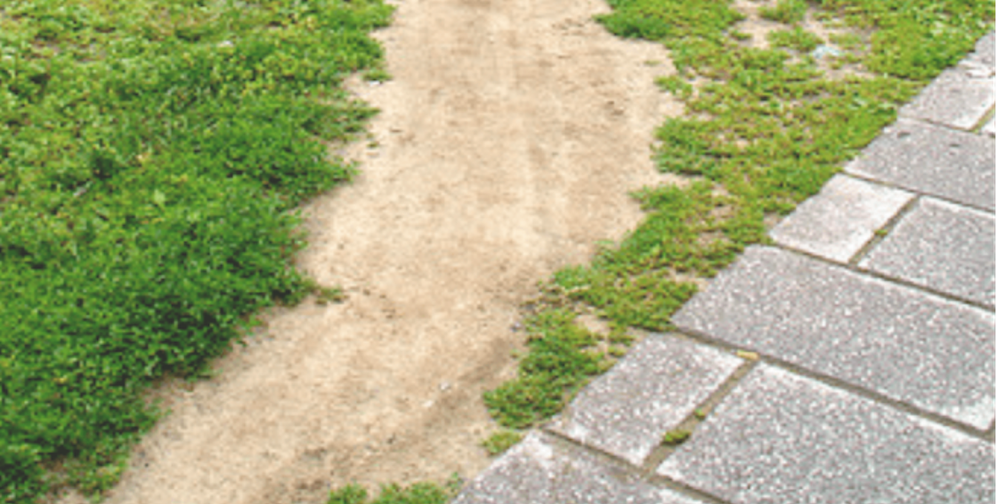 Desire Path – The informal system as an anchor for development – SOCIUS ...